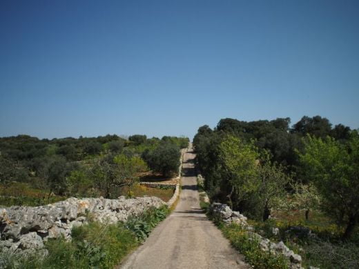 La Via dei Colli in Valle d'Itria - Bikeitalia.it