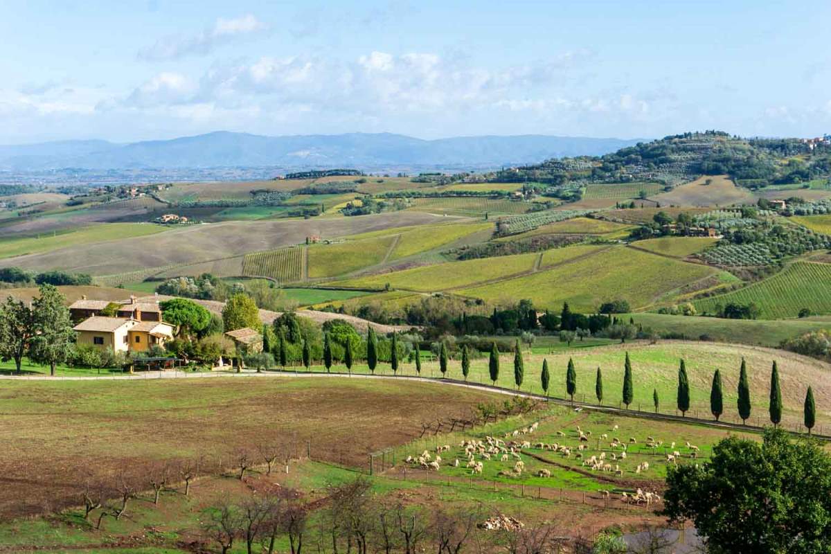 Strade Bianche: tutto quello che devi sapere e dove vederla in tv